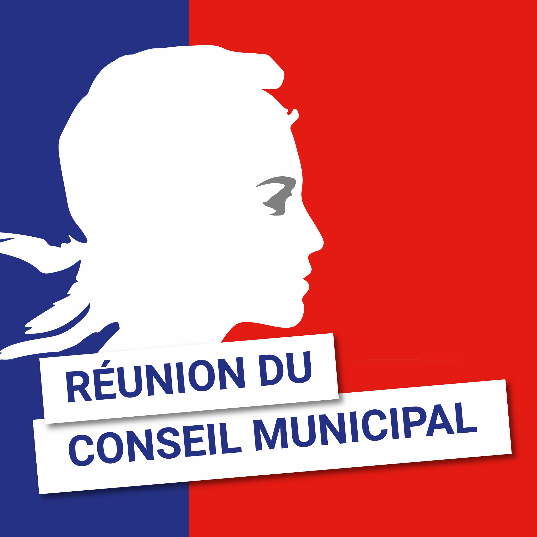 Séance du Conseil Municipal du 17 mars - Ville de Mandres les Roses